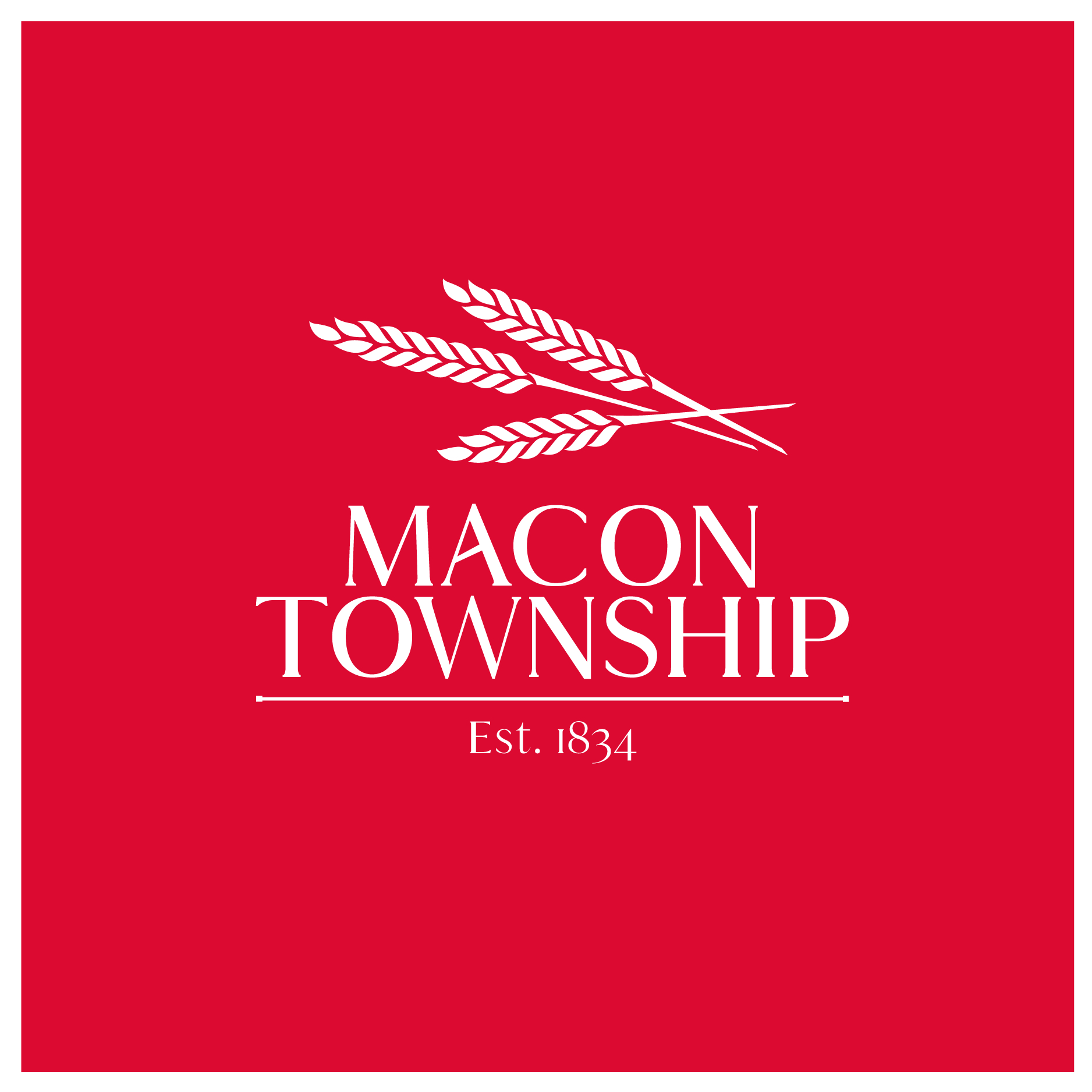 Building a Township Website | Michigan Web Design | Artonic